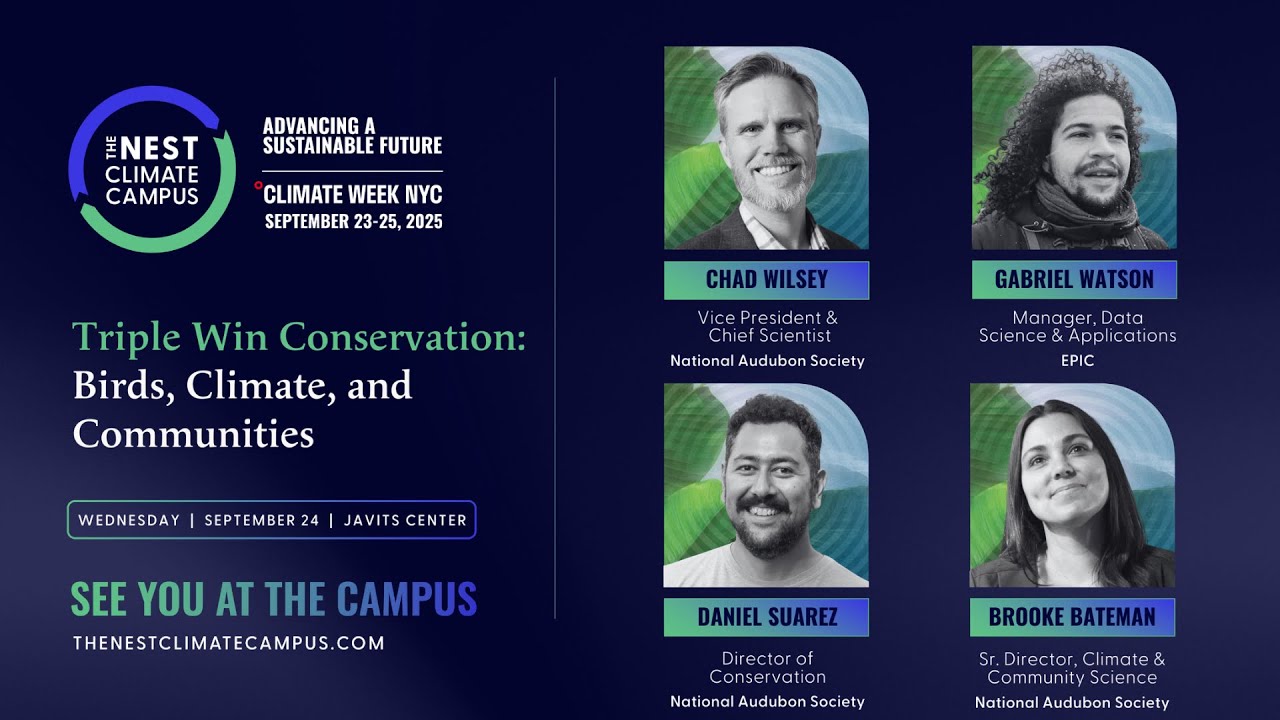 Triple Win Conservation: Birds, Climate, and Communities - YouTube