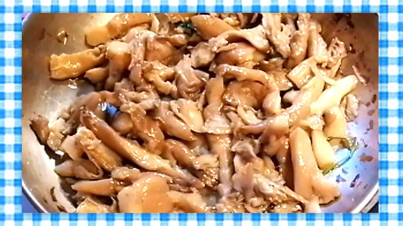 Ricetta: Funghi Pleurotus - Pulirli e Cuocerli in padella - YouTube