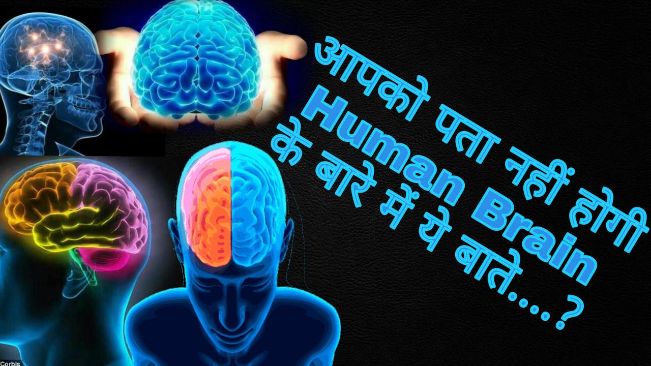 Most Amazing Facts About Human Brain In Hindi YouTube most-amazing-facts-about-human-brain-in-hindi-youtube