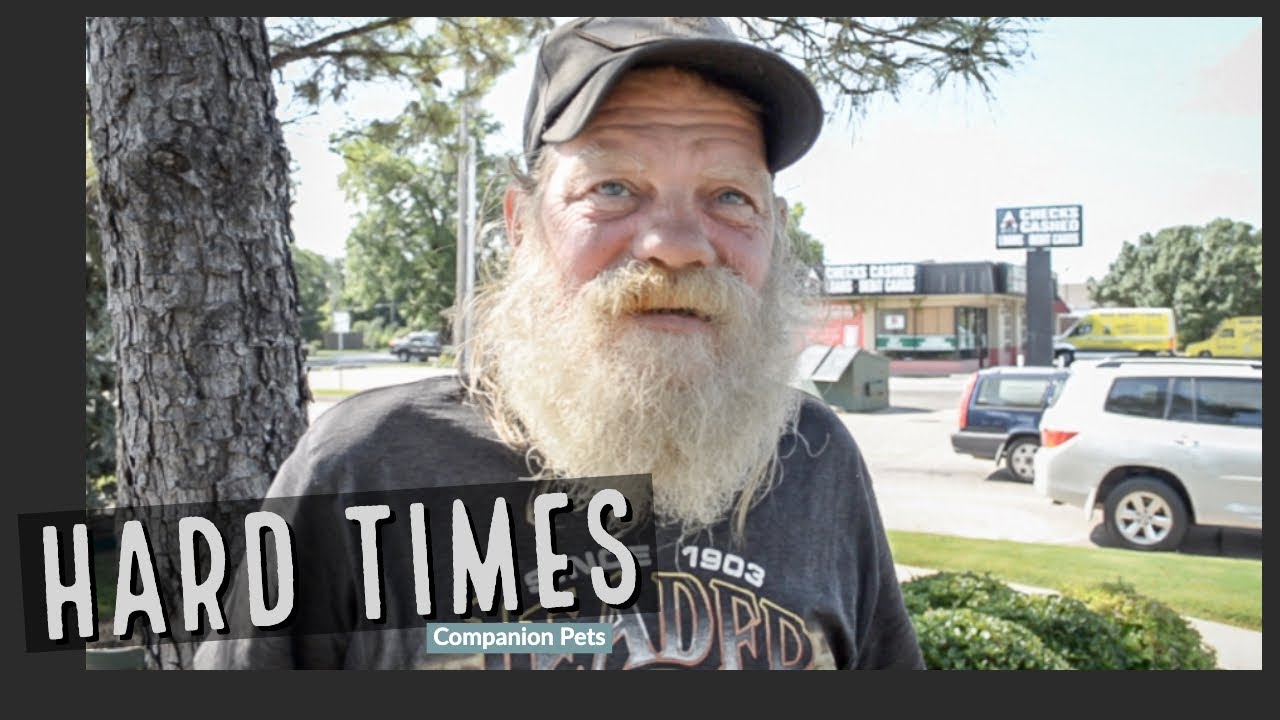 GROOMING a HOMELESS MAN'S DOGS! HELPING OTHERS IN NEED - YouTube