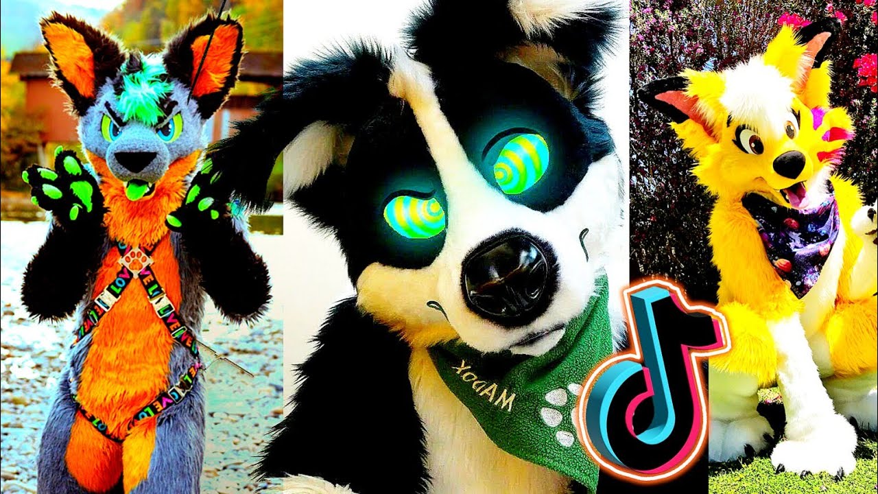 Furry Memes - Dino Mask TikToks Compilation # - YouTube
