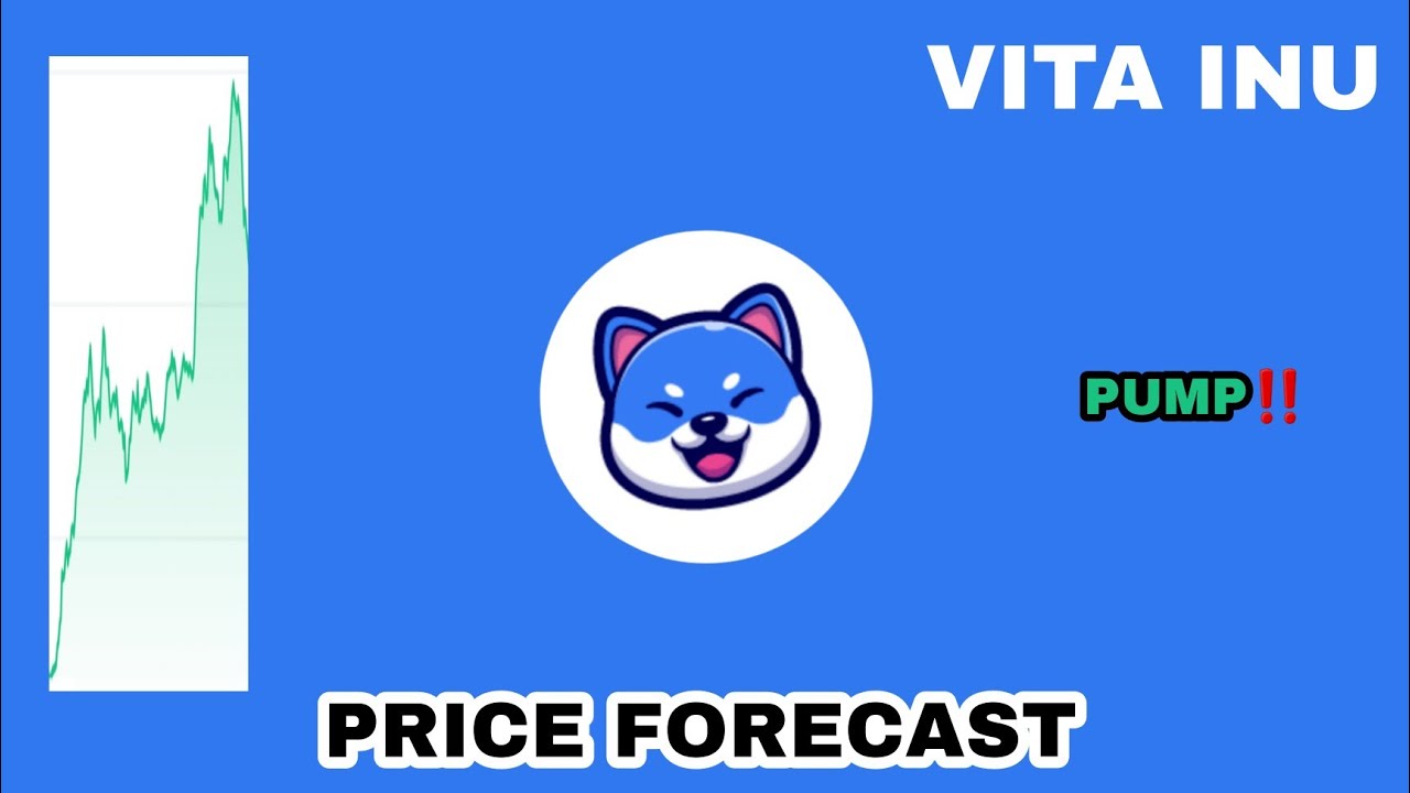 VITA INU COIN PUMP POTENTIAL IN 2023‼️ VINU PRICE FORECAST‼️ REVEALING ...