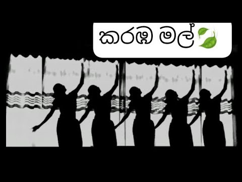 Karaba mal ️🍃| @SashikaNisansala | shadow dance. #dance #shadowdance ...