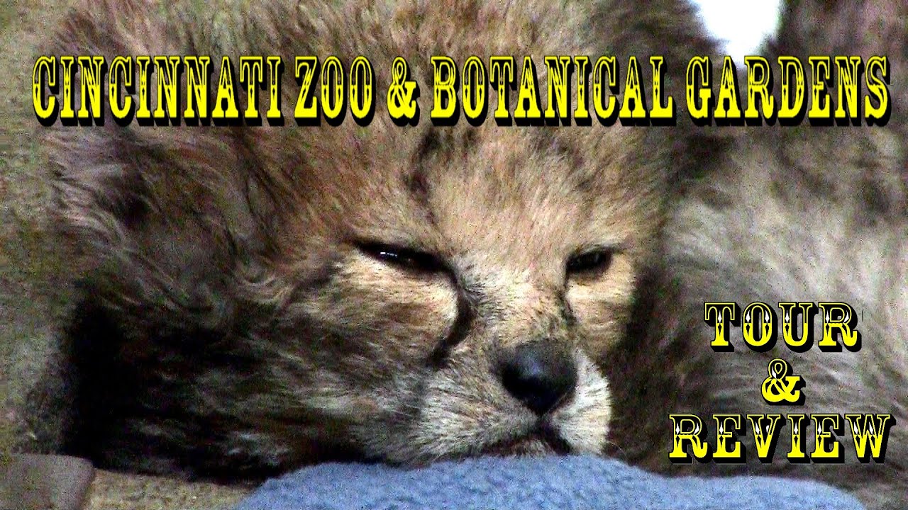 Cincinnati Zoo & Botanical Garden 2016 Complete Park Tour In HD ...