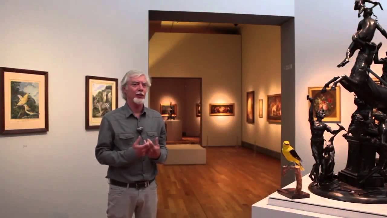 Obras comentadas: Oropéndolas y Una cebra, Luis Paret y Alcázar, (1774 ...