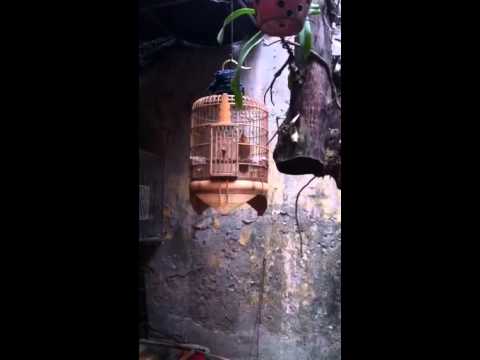 bbbbbbbbbbbbbbbbb - YouTube