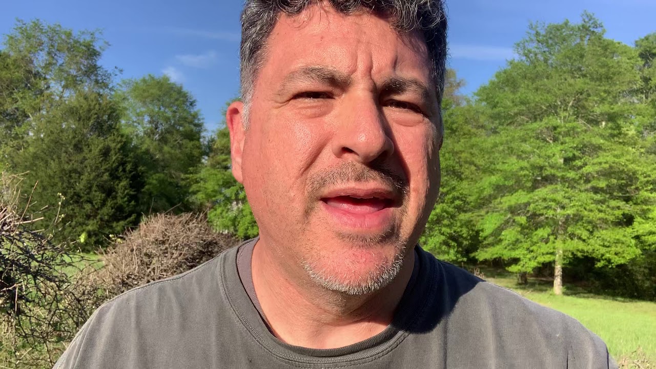 Lessons from the vineyard - YouTube