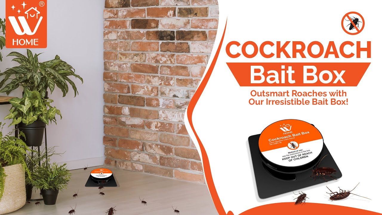 How to Use WBM Cockroach Bait Box | W Home - YouTube