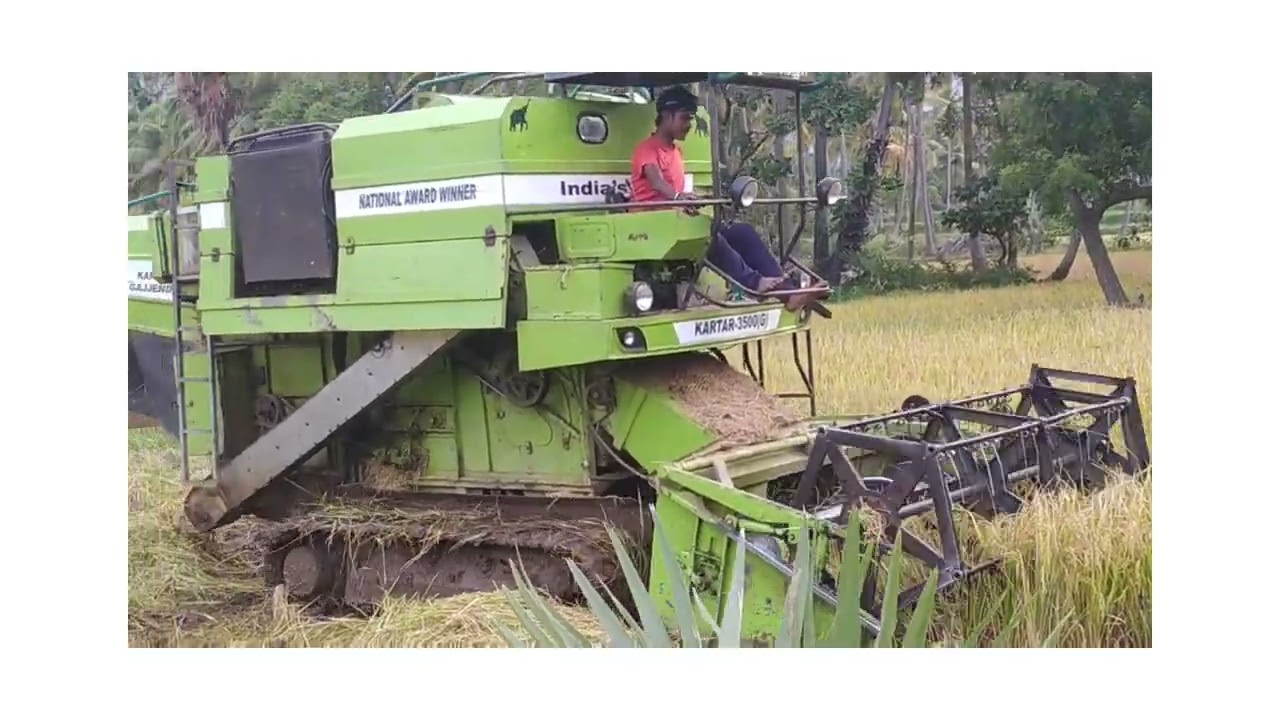 Dhan Katne Wala Mashin #Dhan #Rice Plant Cutter #Rice Cutter machine# ...