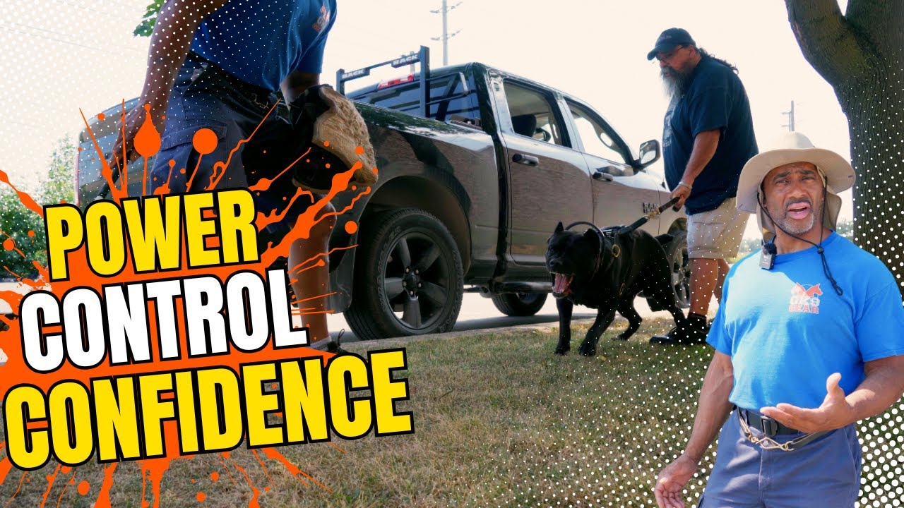 Personal Protection Dog Training: Control, Power & Real-Life Scenarios ...
