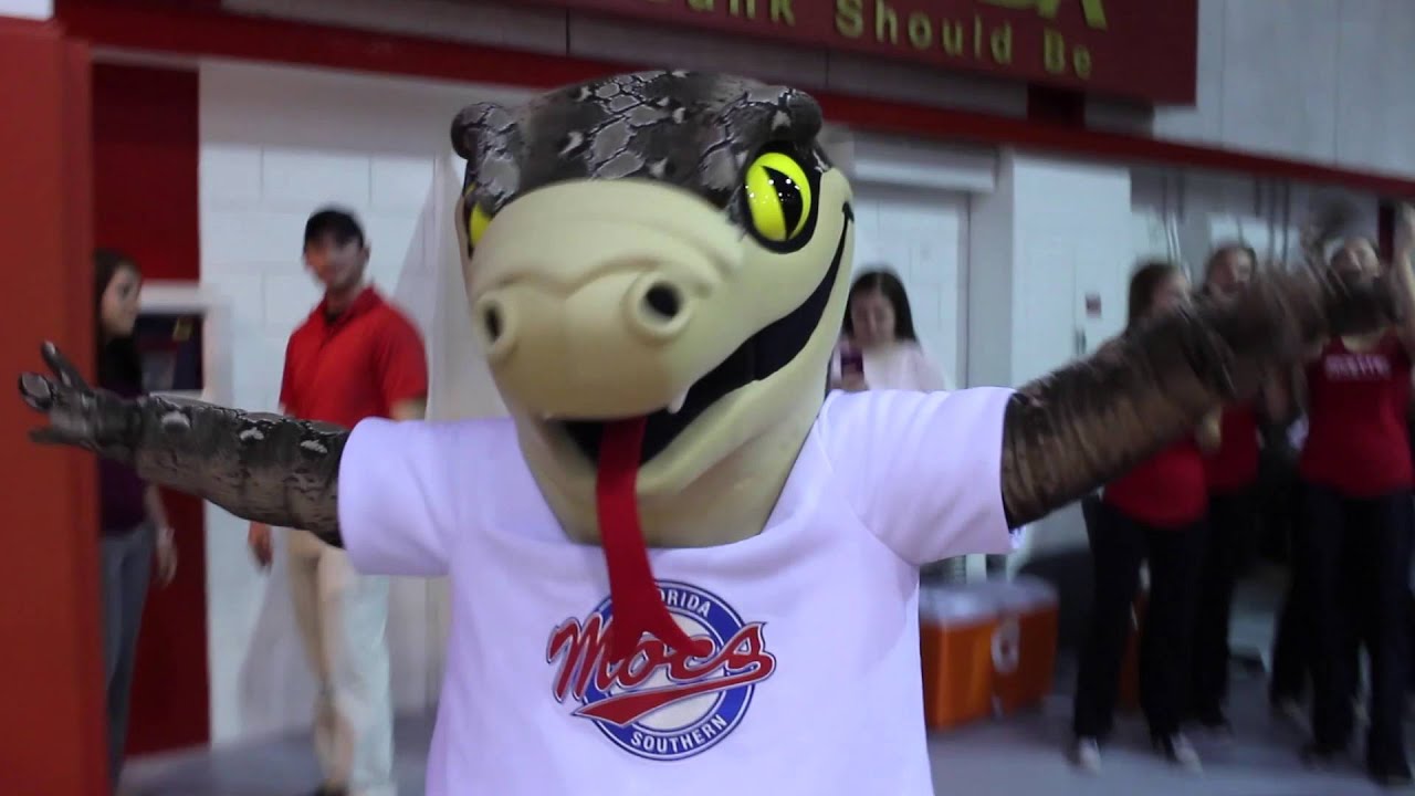 New Mocsie Unveiling Short - YouTube