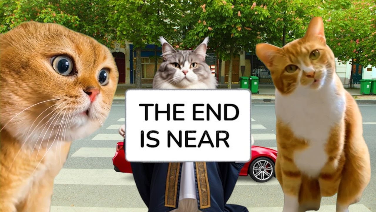 What Do Cats Do When the End of the World is Coming? (Ep.253) - YouTube