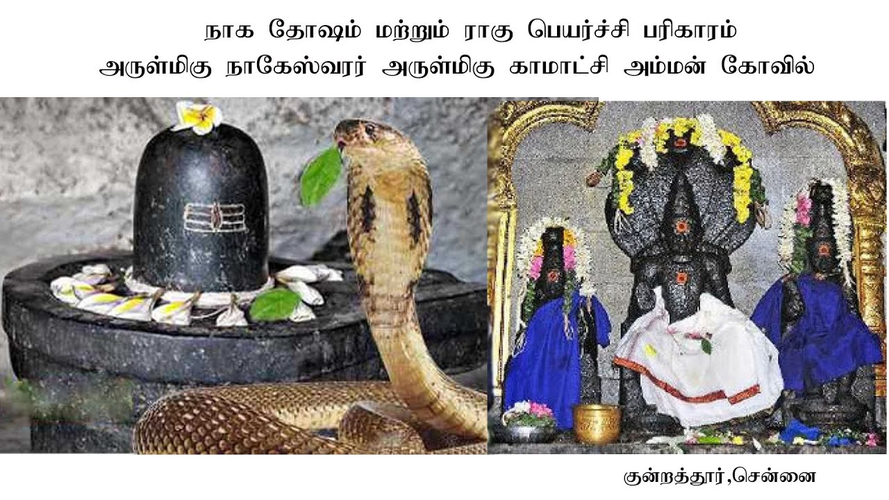 NAGA DOSHAM & RAGU PEYARCHI PARIGARA TEMPLE - CHENNAI - YouTube