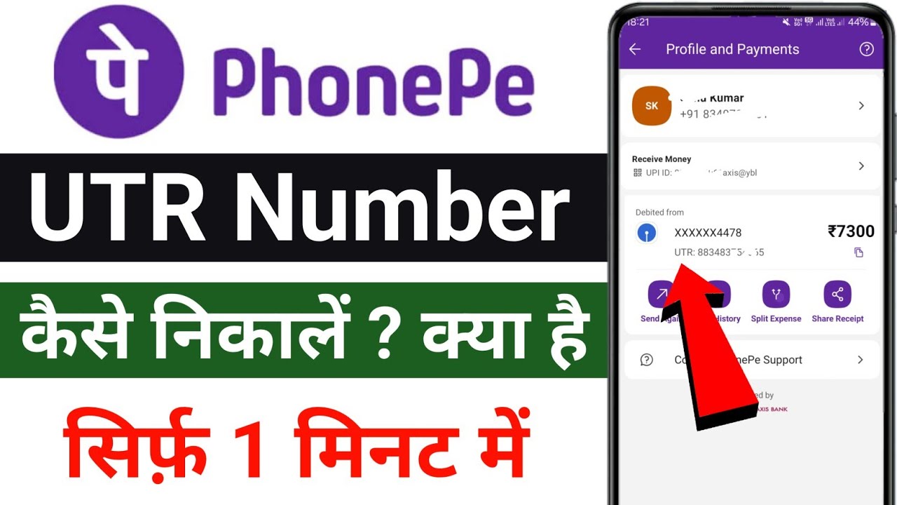 UTR Number kya hota hai | Phonepe me UTR number kaise nikale | Phonepe ...