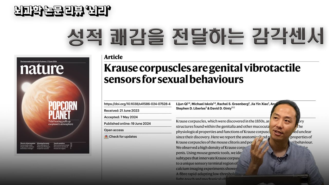 뇌과학 리뷰 "뇌리" Krause corpuscles are genital vibrotactile sensors for ...