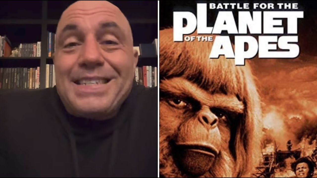 Joe Rogan APOLOGIZES For Saying N*GGA OVER 70 TIMES & Telling RACIST ...