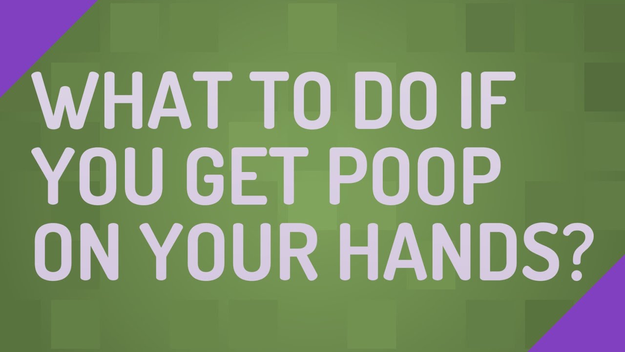 What to do if you get poop on your hands? - YouTube