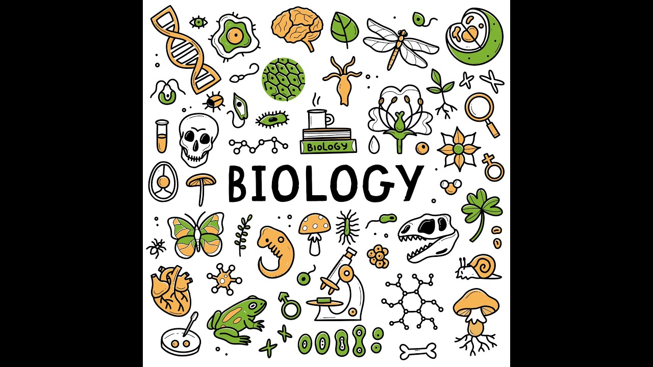 Biology Lesson 1 - YouTube
