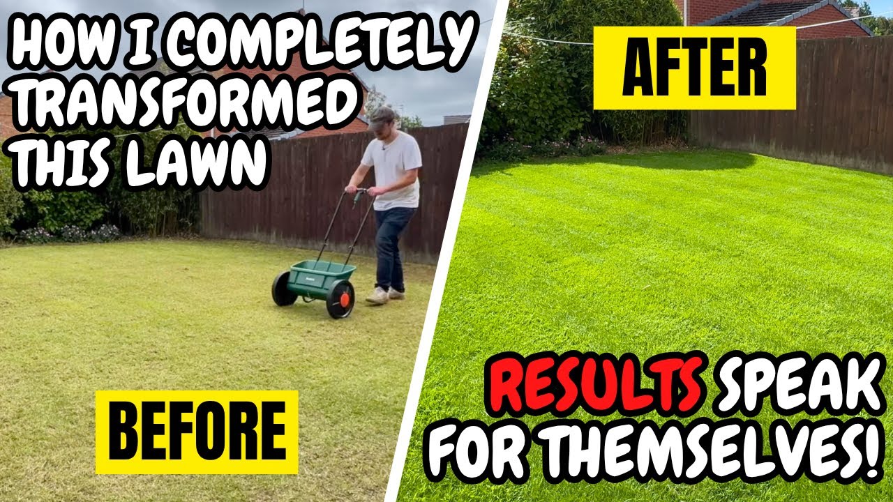 How I Completely Transformed This Lawn (Before & After) - YouTube