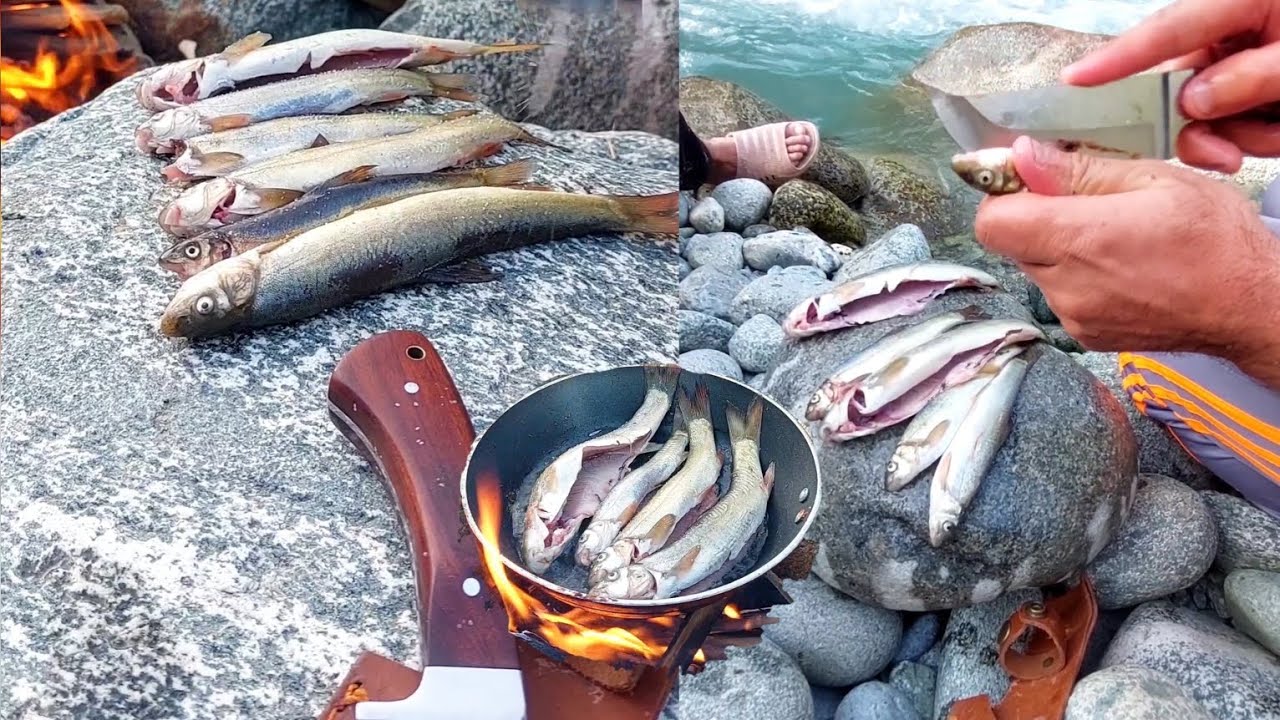 "Exploring the Palas Mountains River: Fishing in Mountains From Catch ...