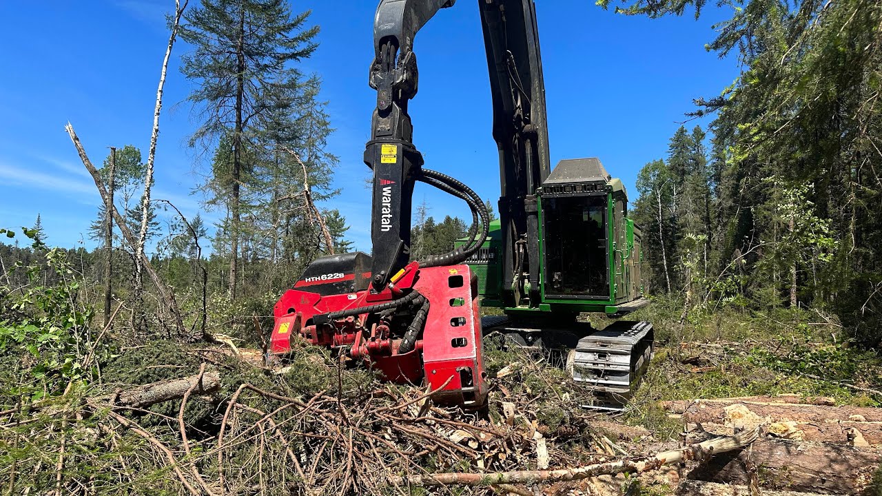 Getting back to it || Waratah 622B on johndeer 953mh - YouTube