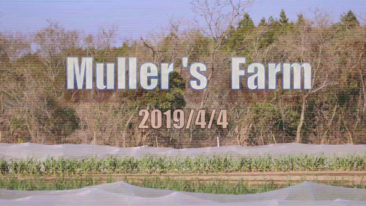muller's Farm - YouTube