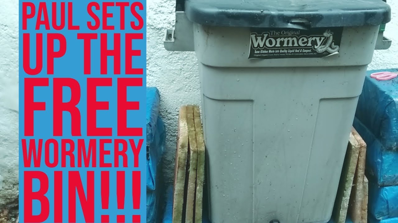 How To Set Up a Wormery Bin - YouTube