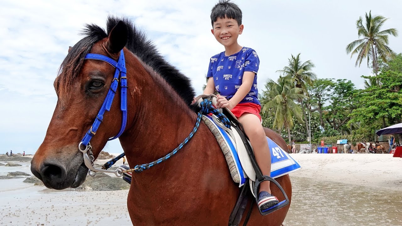 Yejun and day with family fun time in zoo with kids - YouTube