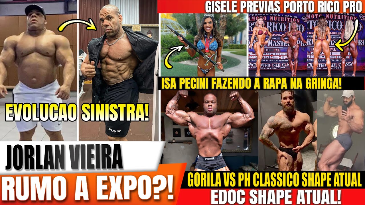 JORLAN VIEIRA NA EXPO? GISELE MACHADO PREVIAS PORTO RICO! PH CLASSICO ...