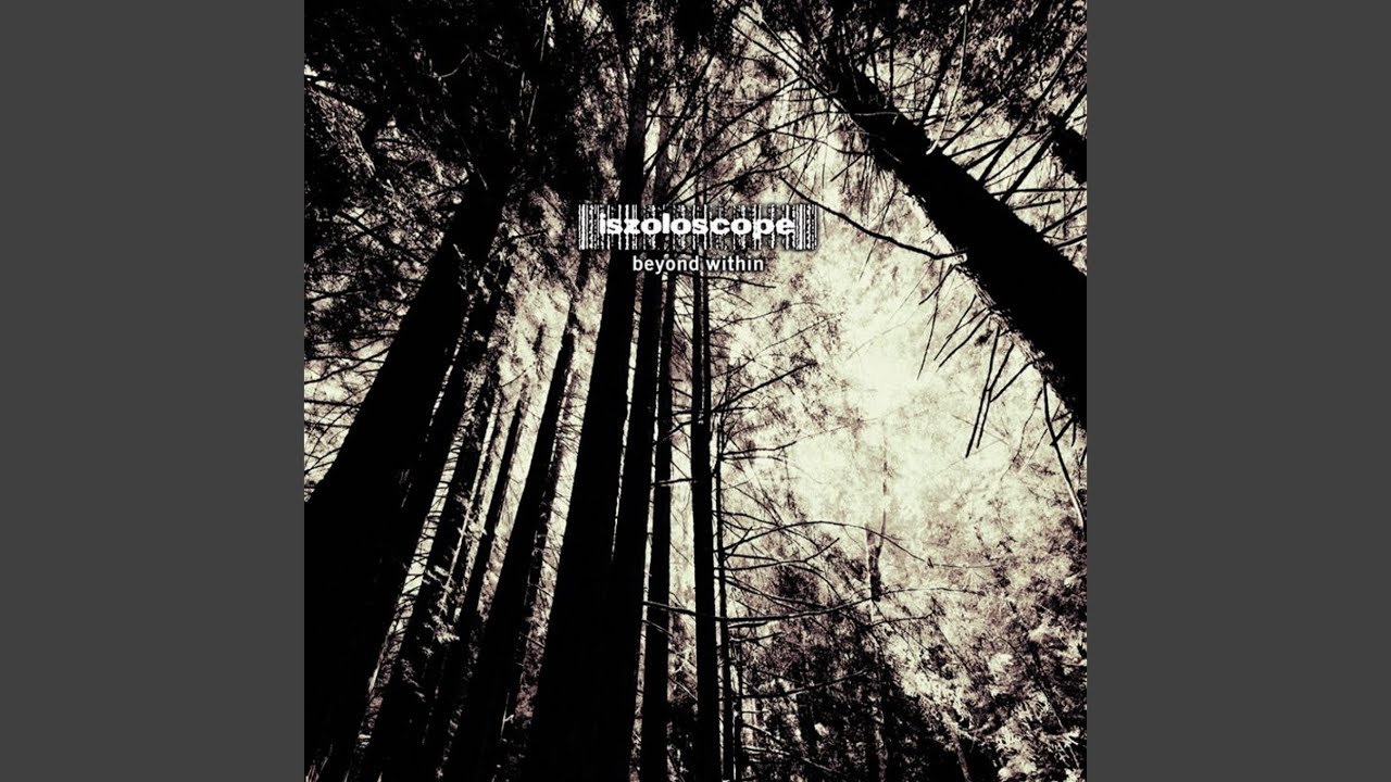 Heard Voices-3 (Xenocode Remix) - YouTube