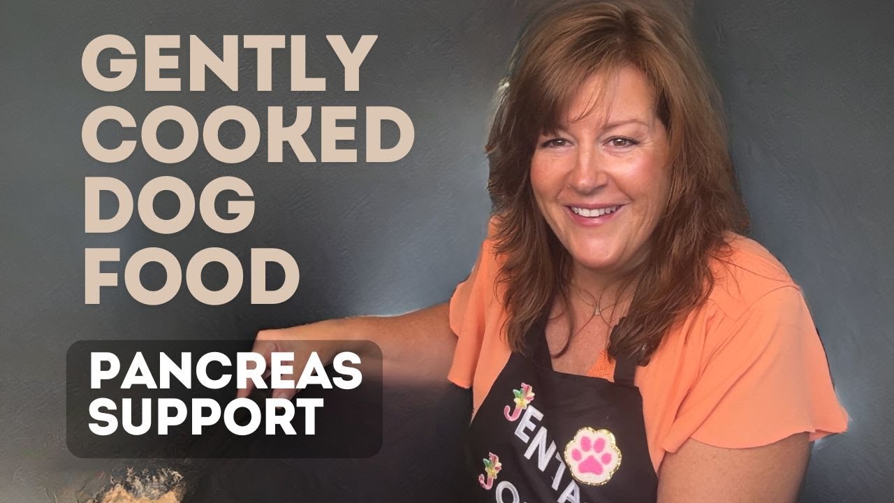 The Ultimate Pancreas-Supporting Dog Food Recipe: Vet Approved - YouTube
