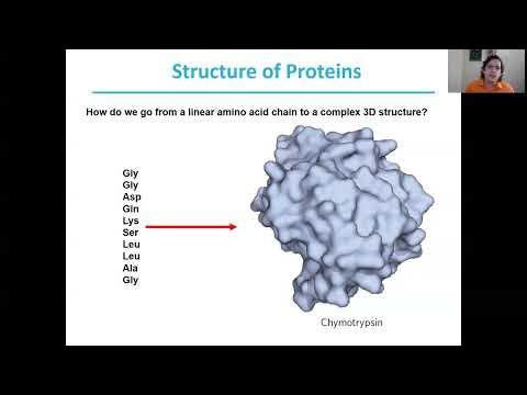 Introduction to Protein Structure_Biochemistry I_6 - YouTube