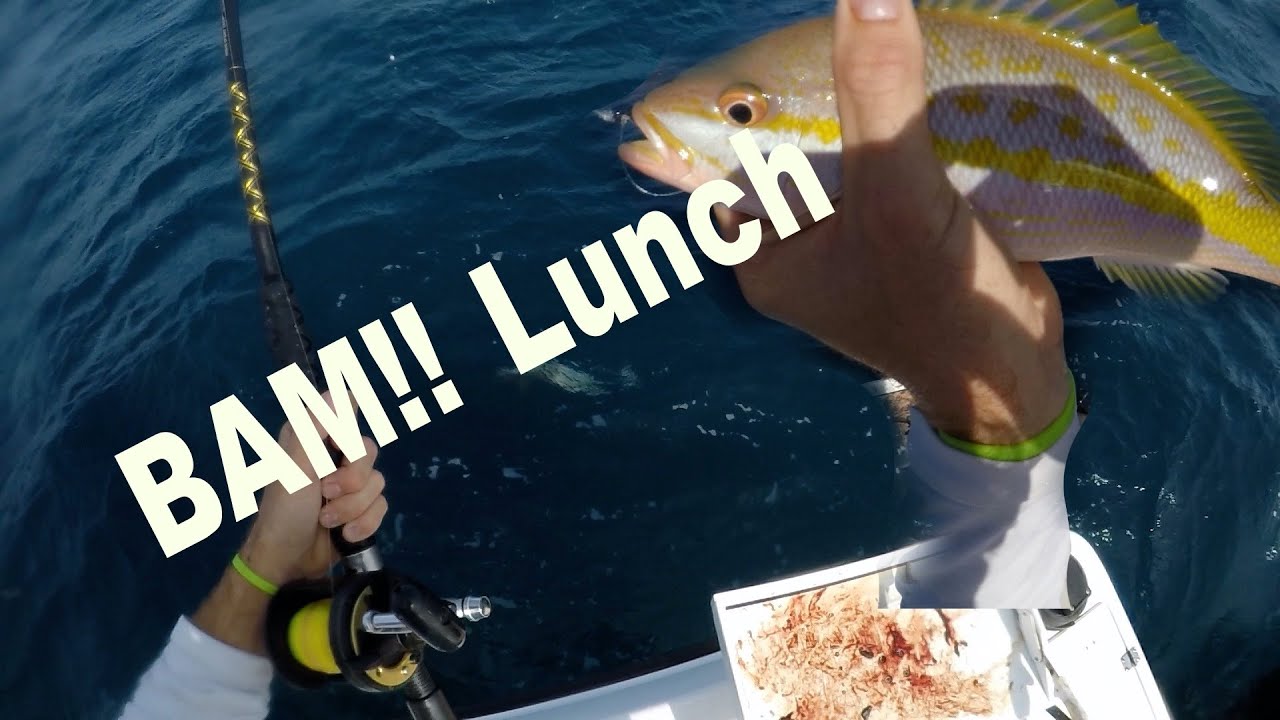 Yellowtail Snapper Porgy and Grunt Catch Clean Cook (Part 1) - YouTube