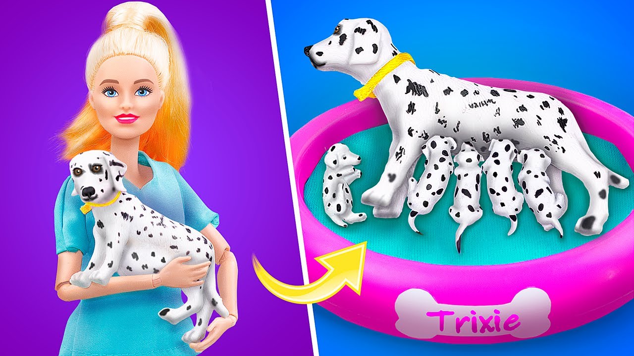 12 Trik dan Kreasi Barbie / Ide Rumah Sakit Hewan - YouTube