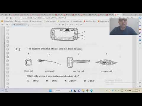 IGCSE Biology Chapter 2 CELLS (questions solving part 1) - YouTube