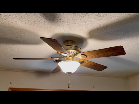 The Current Ceiling Fans in My House (8) - YouTube