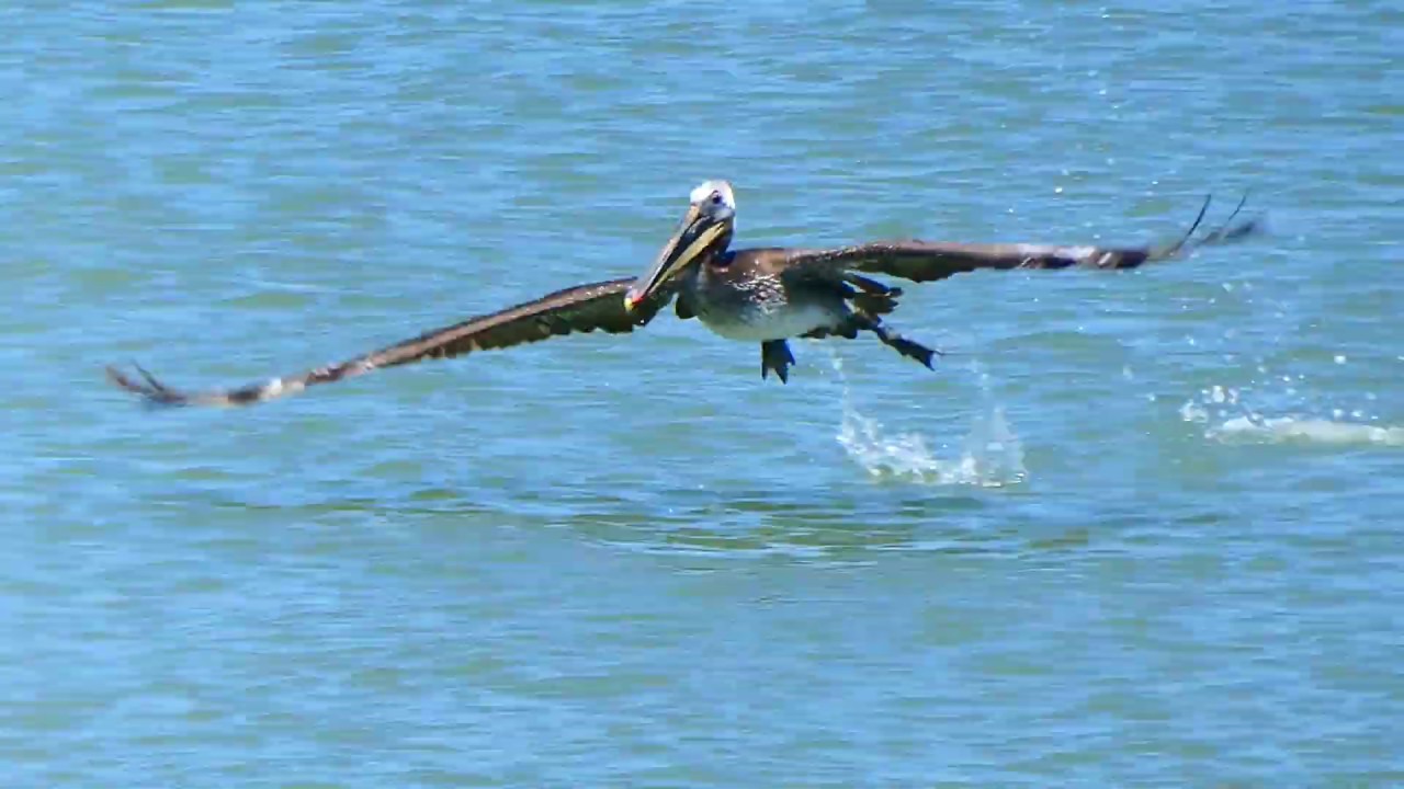 BRPE 20190617 - YouTube