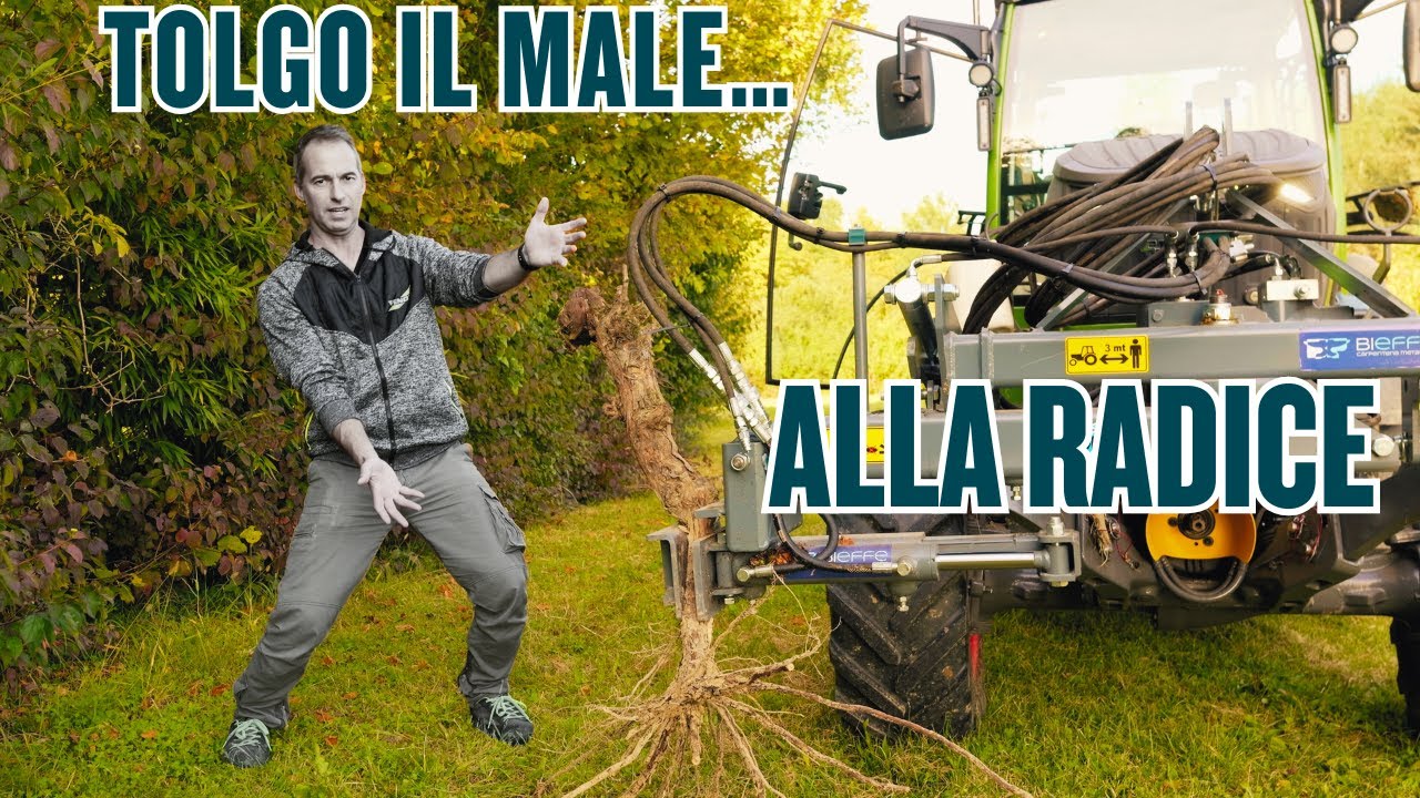 Rimozione delle viti malate: la mia soluzione con Bieffe #viticoltura # ...