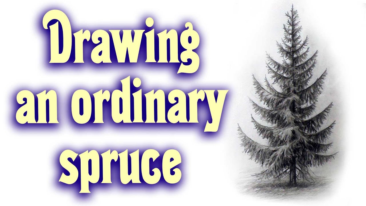 Drawing an ordinary spruce with a pencil, stages of drawing trees - YouTube