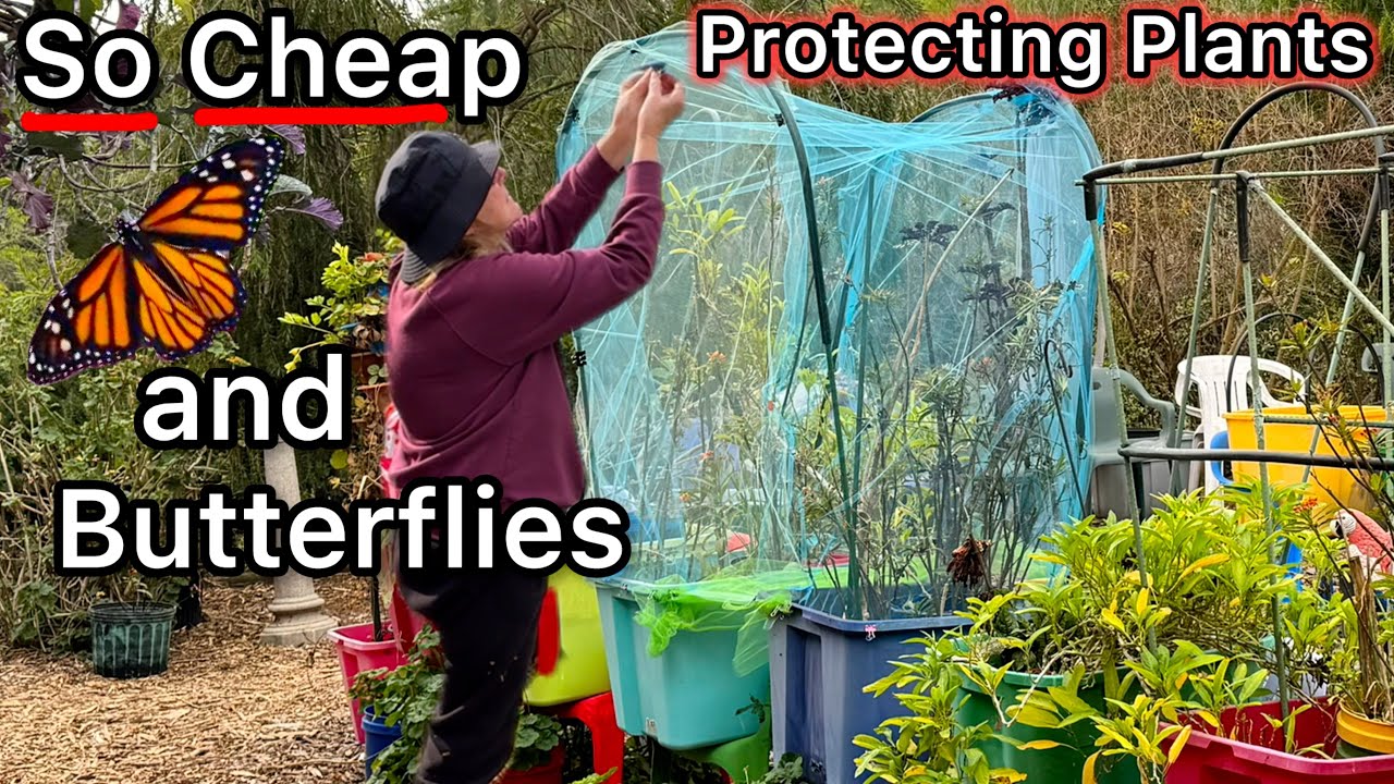 Covering Garden Tote CHEAP with Tulle & Irrigation Drip Tubing to ...