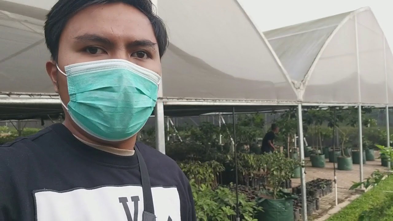 Lari Pagi ke PT Botani Seed Indonesia, Punya IPB? - YouTube