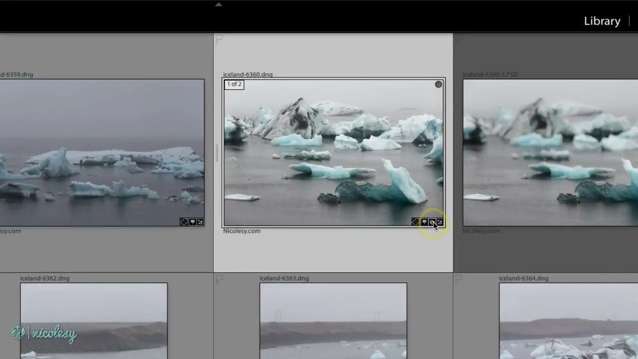 Setting the Lightroom Classic view options - YouTube
