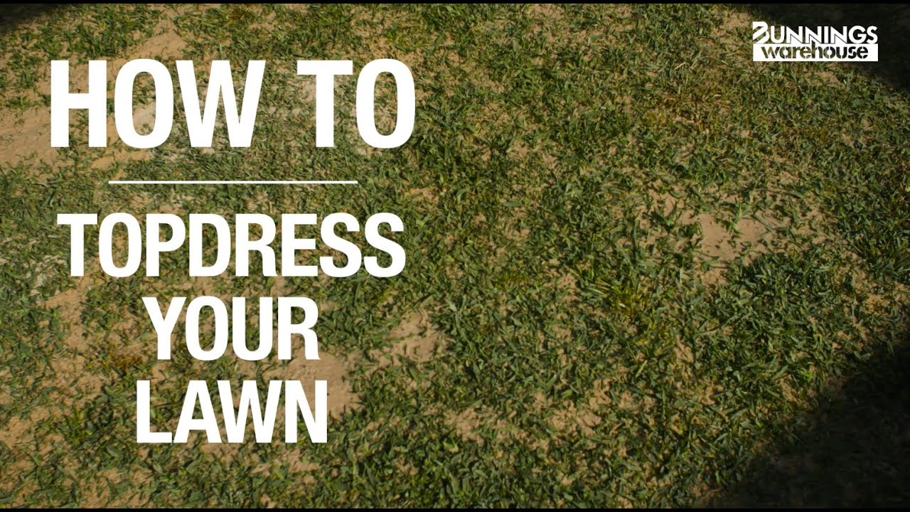 How To Topdress Your Lawn - Bunnings Warehouse - YouTube