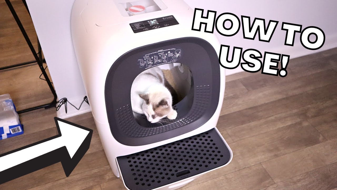 Reviewing the LALAHOME RealScooper Smart Self-Refill Litter Box (Setup ...