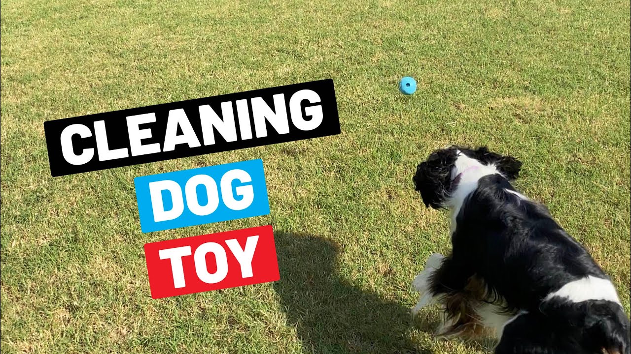 Cleaning Your Dog’s Toy Rubber Ball - YouTube
