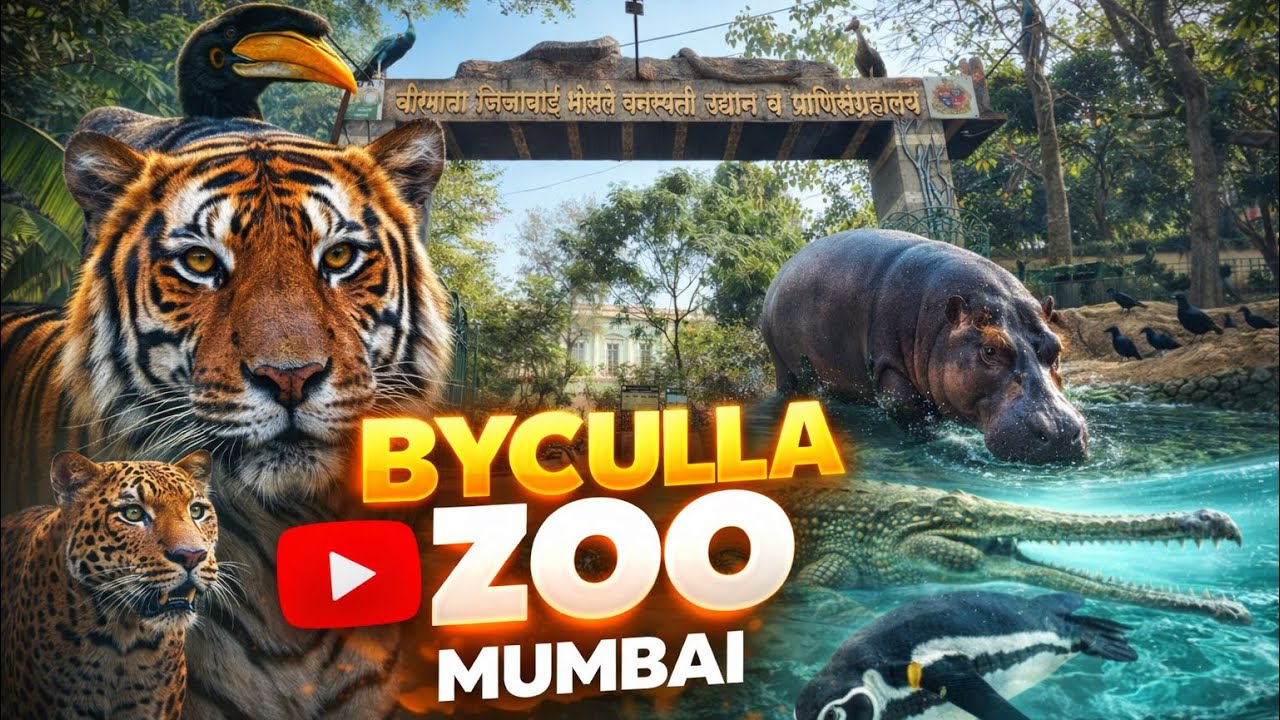 Mumbai’s Famous Byculla Zoo 🐧 | Penguins, Animals & Rani Baug Beauty 😍 ...