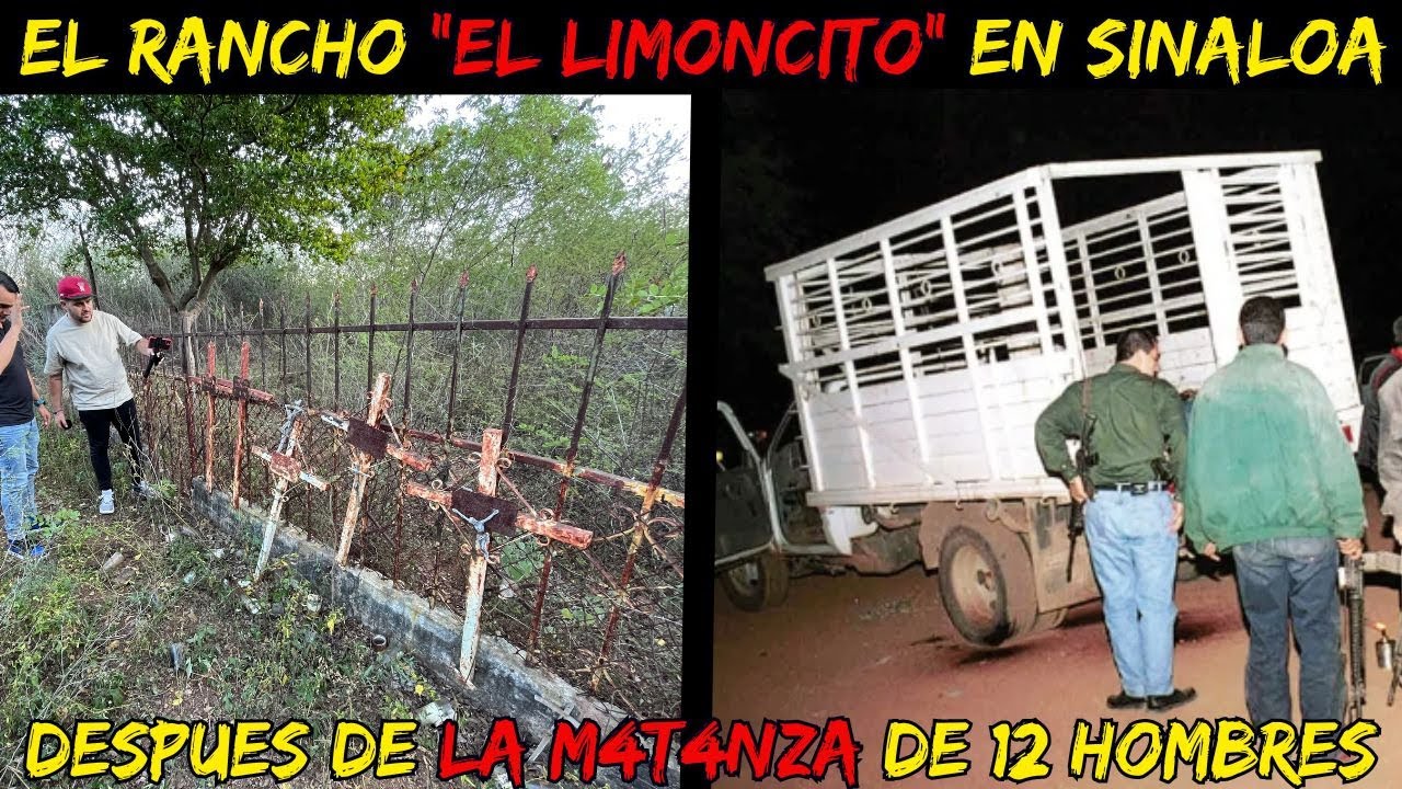 Asi Luce El Rancho EL LIMONCITO Despues De La MAT4NZ4 De 12 PERSONAS 😰 ...