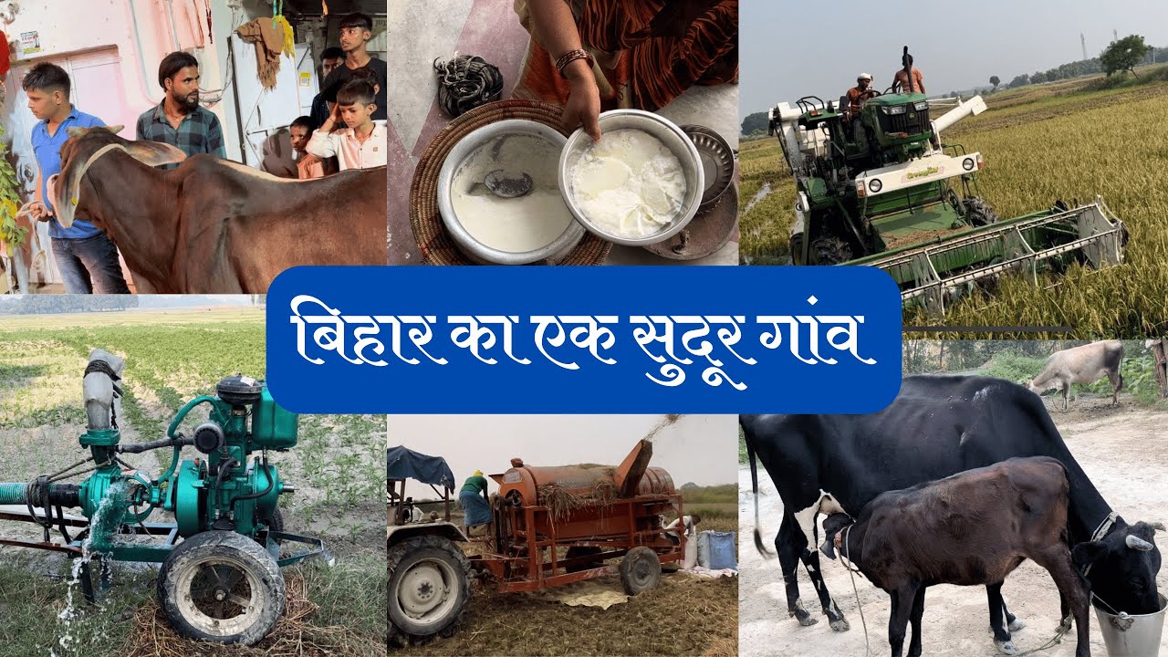 Bihar Village | Life in a Typical Village of Bihar | Village Life in ...