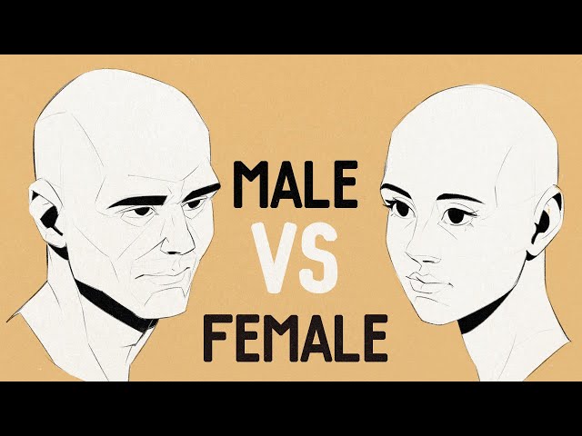 Drawing Male And Female Faces
