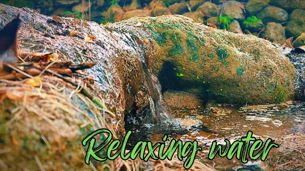 Calm Water Music for Deep Relaxation & Sleep,peaceful water,meditation ...